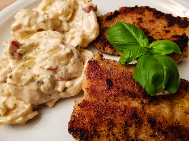 Filete de pargo rojo foto de archivo. Imagen de hierbas - 224421558