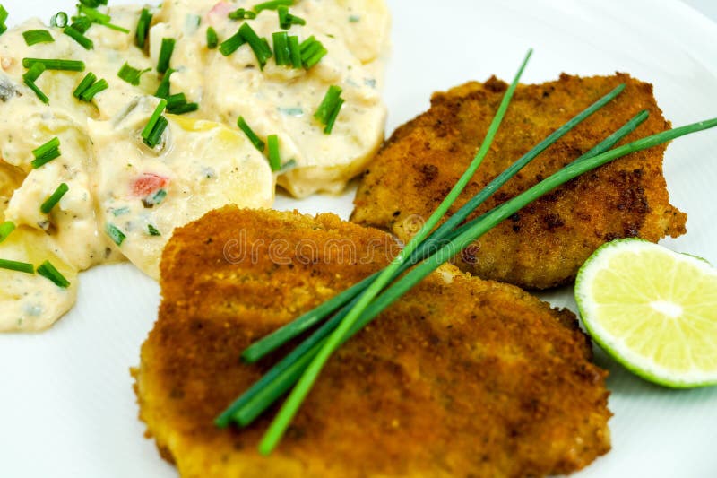 Filete de pargo rojo foto de archivo. Imagen de hierbas - 224421558