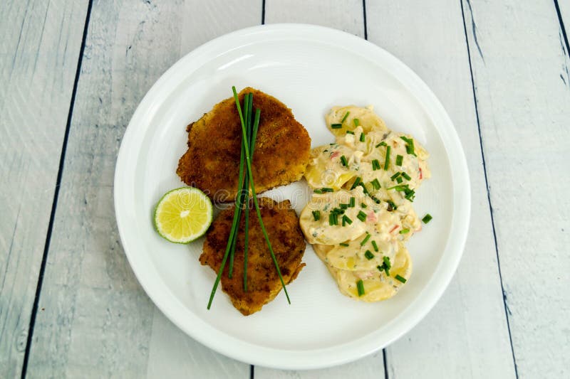 Filete de pargo rojo imagen de archivo. Imagen de filetes - 224421607