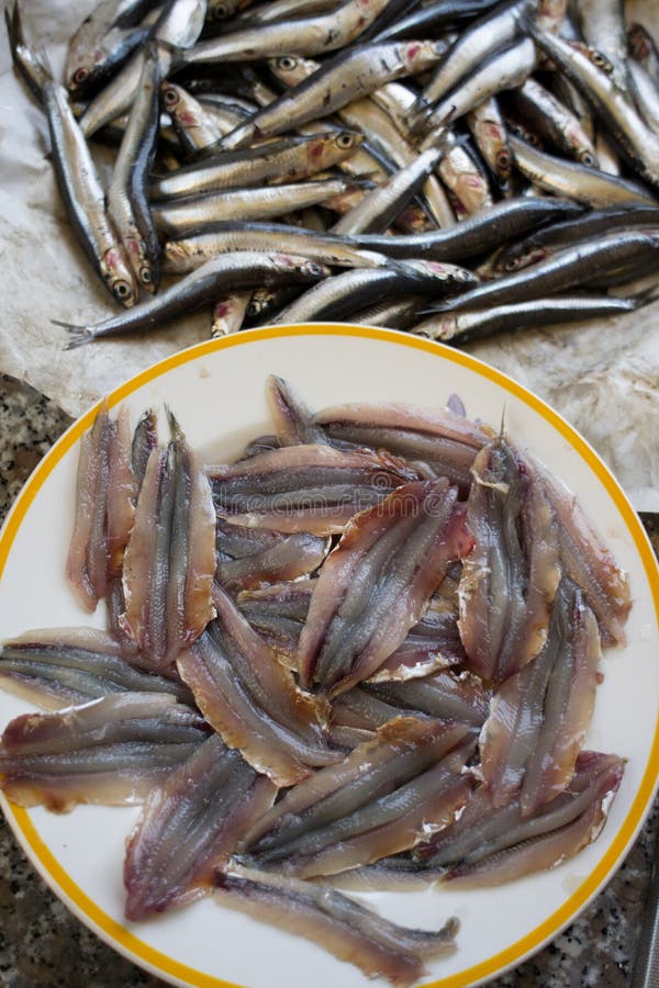 Filets crus d'anchois image stock. Image du poissons - 105647463