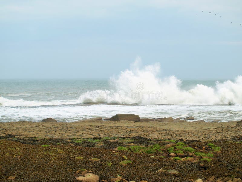 Filey brig coastal path stock photo. Image of path, east - 80890668