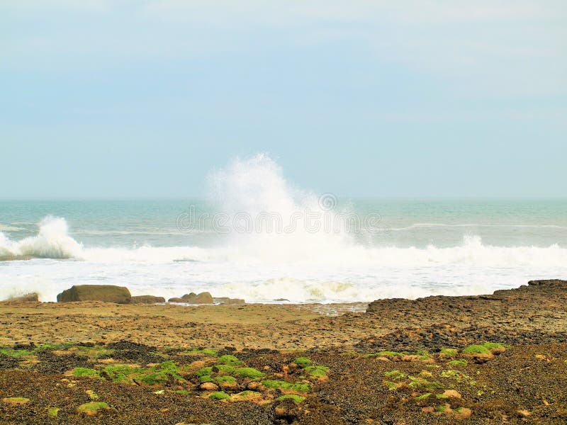 Filey Brig Waves Crashing Onto the Rocks. Stock Image - Image of filey ...