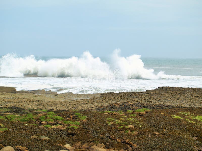 Filey Brig Waves Crashing Over the Rocks Stock Photo - Image of filey ...
