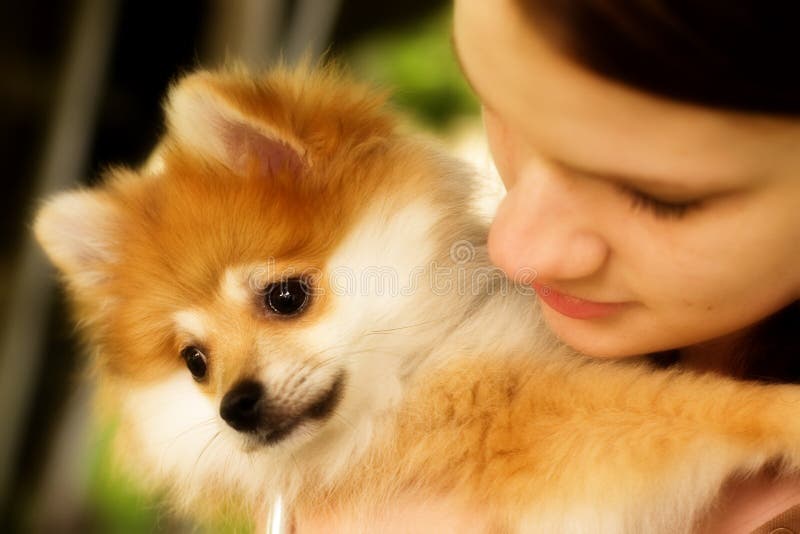 Filhote De Cachorro Do Afago Imagem de Stock - Imagem de pessoa ...