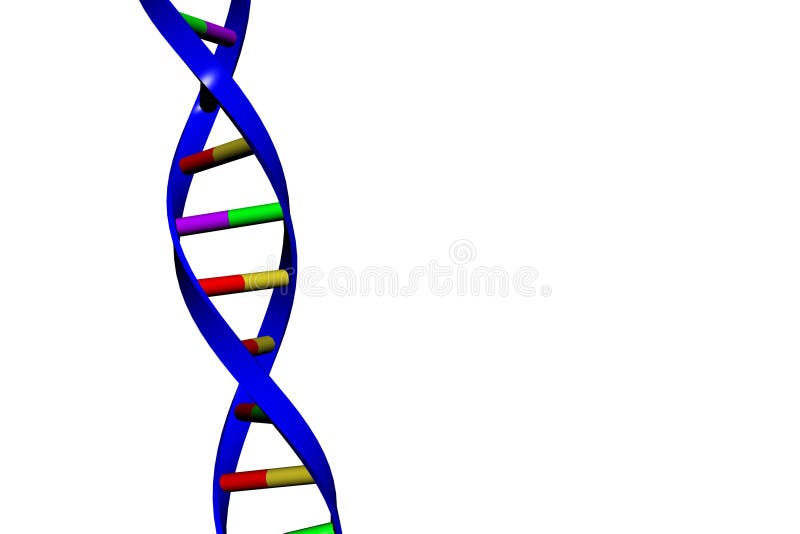 Schemi di replica del DNA illustrazione di stock. Illustrazione di ...