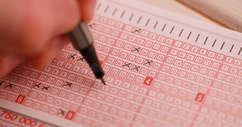 Fill Out a Lottery Ticket Hand Cross Out Numbers Stock Video - Video of ...
