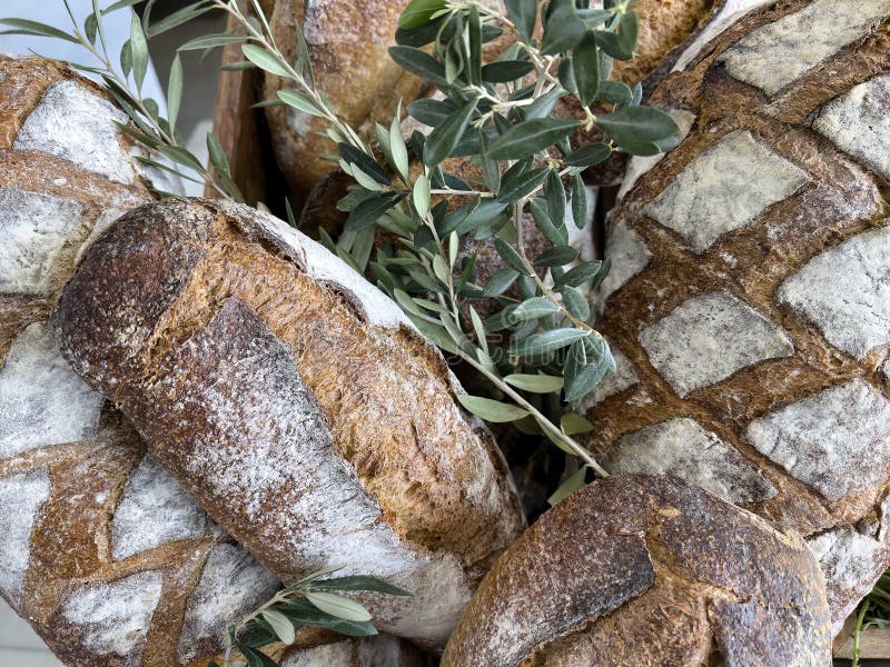 Filled Frame of Freshly Baked Dark Bread Loafs and Herbs Stock Image ...