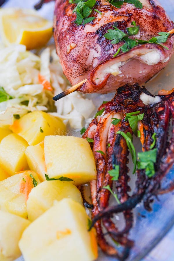 Filled grillte Kalmar stockbild. Bild von handschuh, gekocht - 77317019