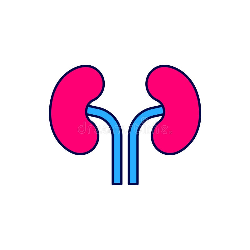 Filled Outline Human Kidneys Icon Isolated on White Background. Vector ...