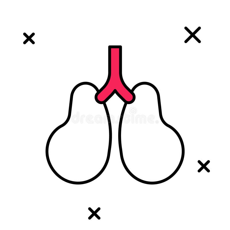 Outline of Lungs with Bronchi Isolated on White. Icon or Design Element ... Outline of Lungs with Bronchi Isolated on White. Icon or Design Element ...