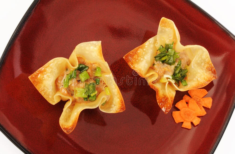 Filled Wontons stock photo. Image of snack, wonton, onions - 12597870