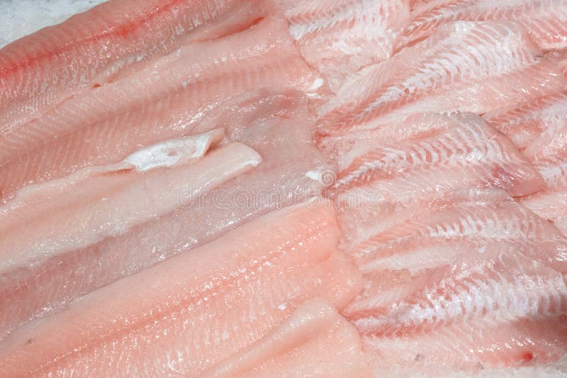 Fillet of Fish on a Counter on Ice Stock Image - Image of market ...