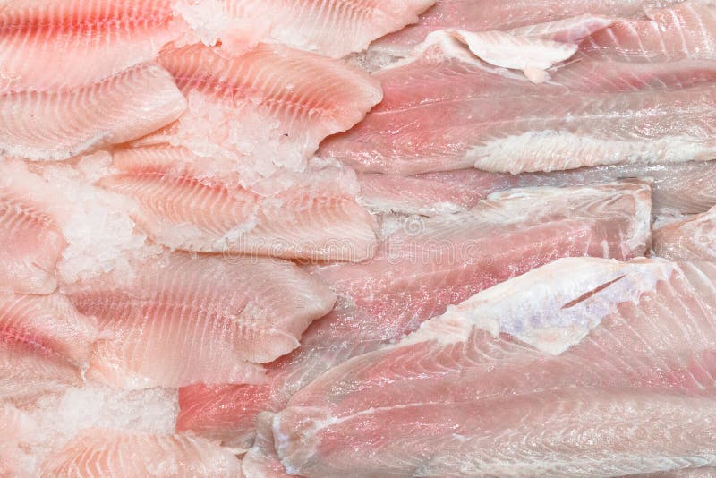 Fillet of Fish on a Counter on Ice Stock Image - Image of marine, fresh ...