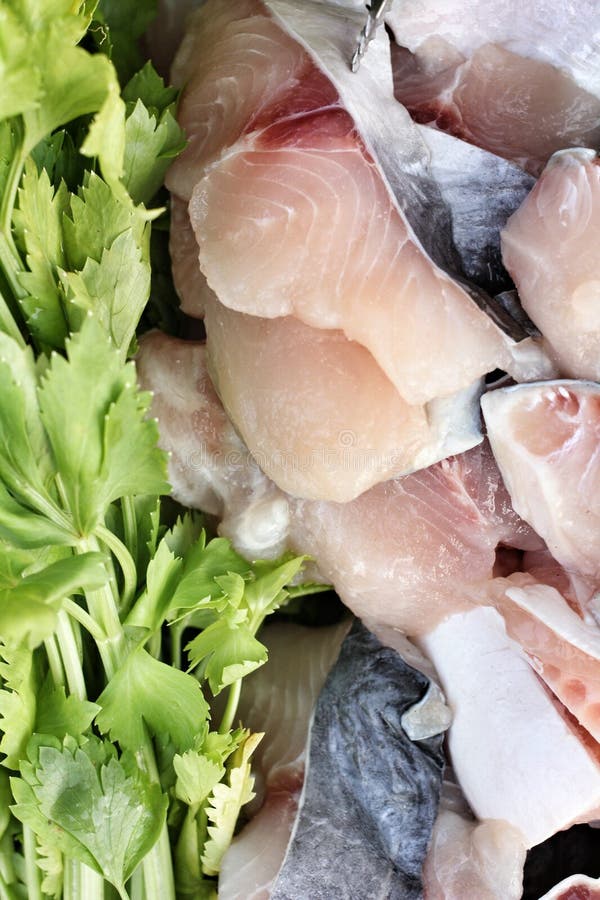 Fillet of fresh fish stock photo. Image of nature, pangasius - 36307146
