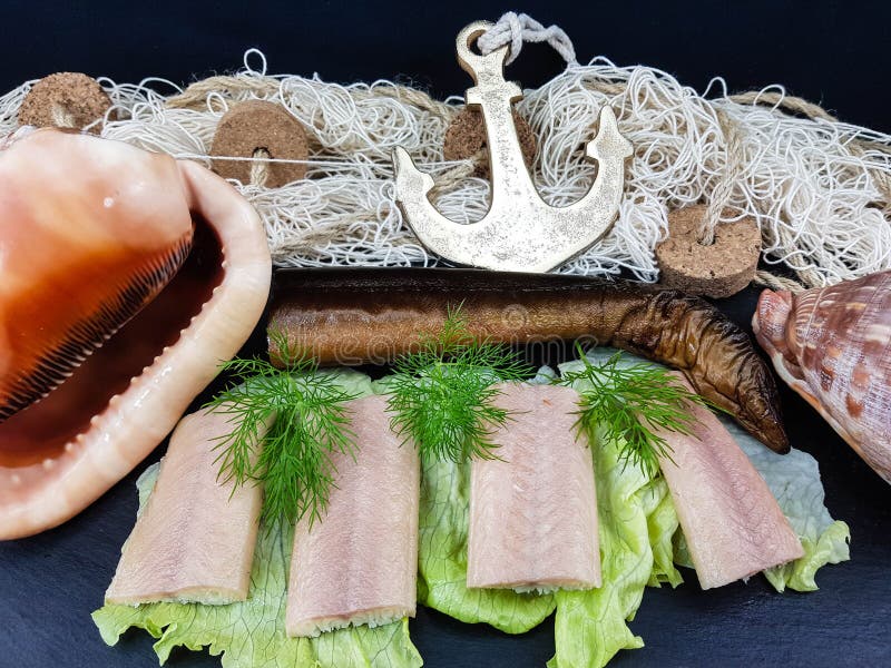 Smoked eel fillet stock image. Image of golden, animal - 206496227