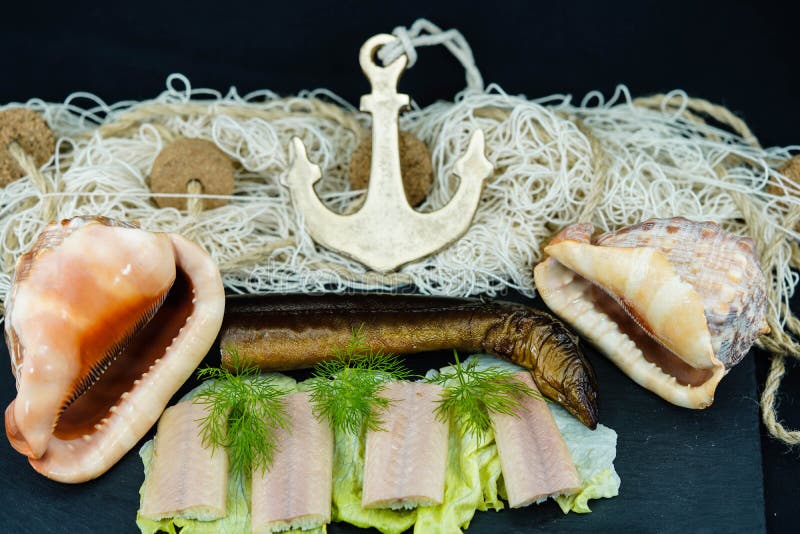 Smoked eel fillet stock photo. Image of dinner, appetizer - 206496276