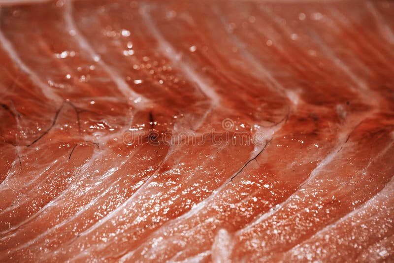 Fillet Meat Closeup Detail View Stock Photo - Image of seafood, meat ...