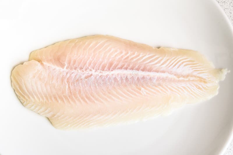 Fillet of raw fresh fish stock image. Image of fish, uncooked - 97353003