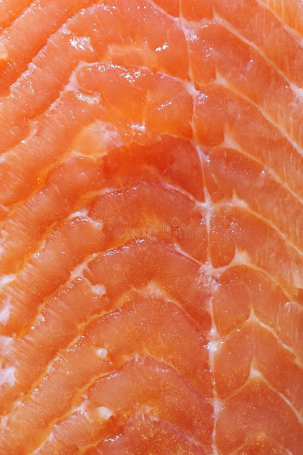Fillet of Red Fish a Salmon Stock Photo - Image of diet, macro: 23705278