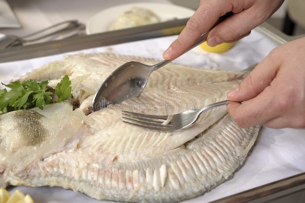 Filleting a poached turbot stock photo. Image of hand - 23707494
