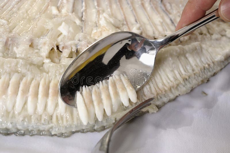 Filleting a poached turbot stock photo. Image of flesh - 23707498