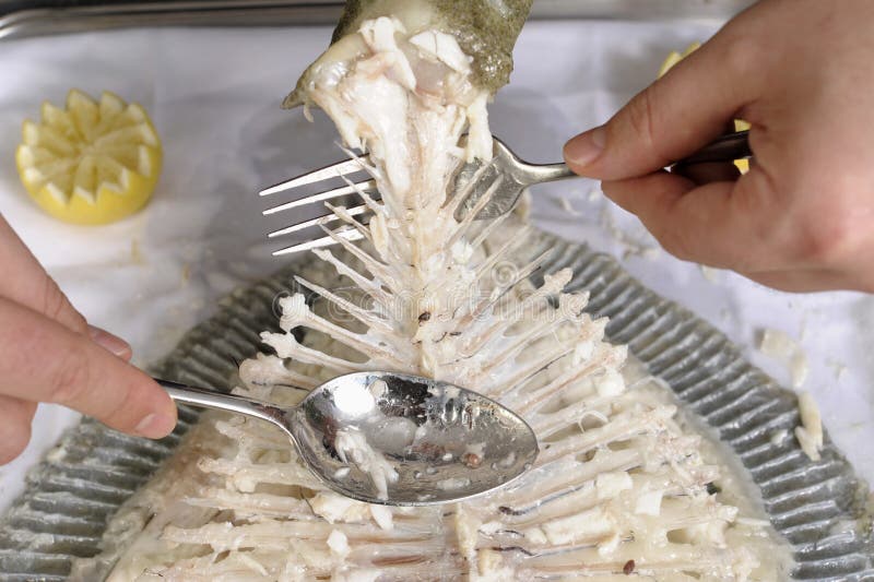 Filleting a poached turbot stock photo. Image of flesh - 23707500
