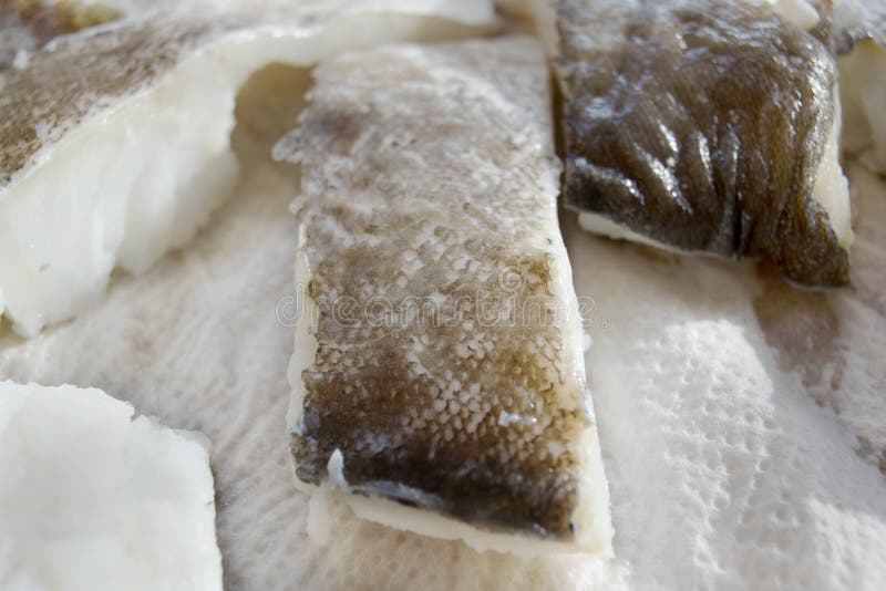 Fillets of salt cod stock photo. Image of fillet, codfish - 80611764