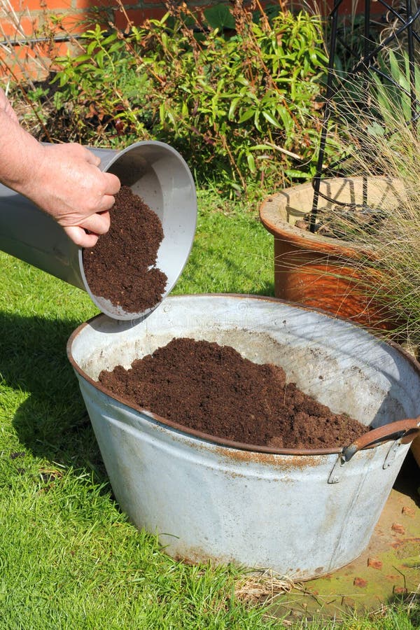 Filling Container with Compost. Stock Photo - Image of compost ...