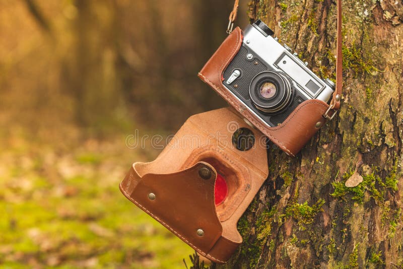 Film Camera Hanging on a Tree Stock Image - Image of strip, classic ...