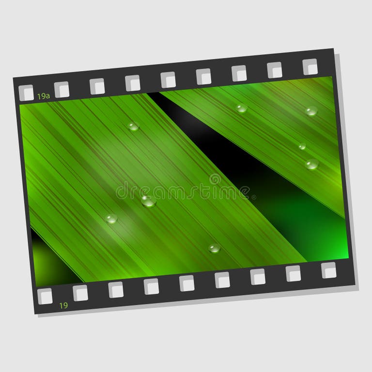 Reel Leaf Stock Illustrations – 974 Reel Leaf Stock Illustrations ...