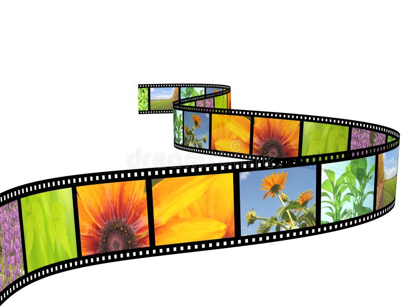 Spring Cinematography Stock Illustrations – 89 Spring Cinematography ...
