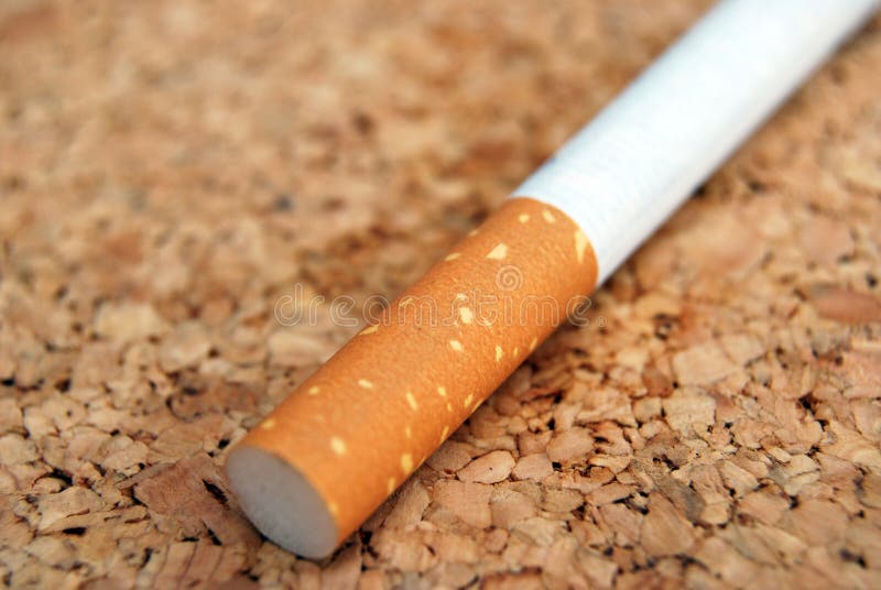 Filter cigarette stock photo. Image of single, danger - 11479566