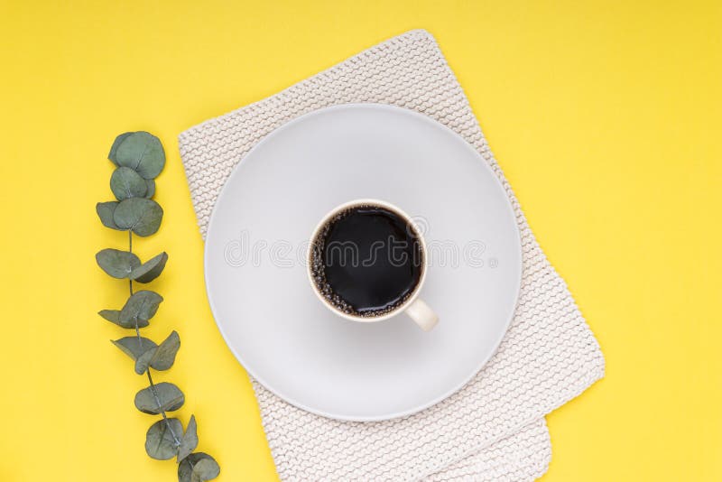 Filter Coffee in White Mug on White Plate with Eucalyptus, White ...