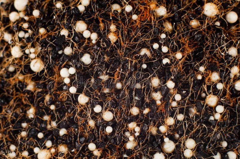 Filter Material for Water Filter Against Organic Pollution Stock Photo ...