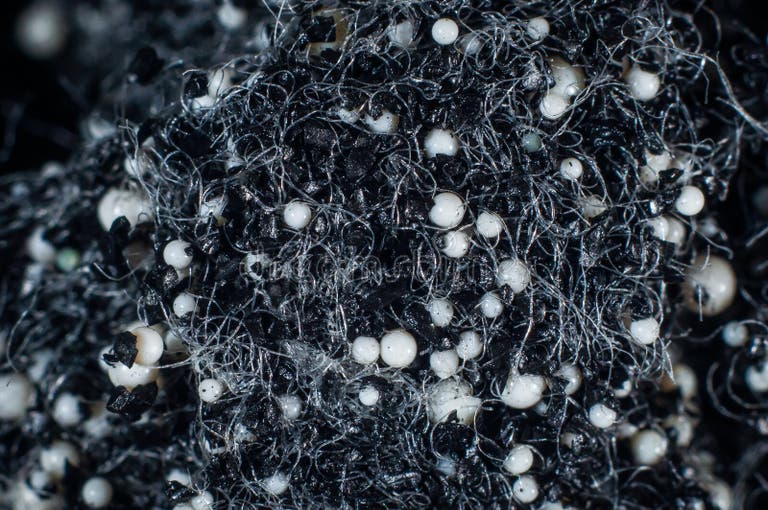 Filter Material for Water Filter Against Organic Pollution Stock Image ...