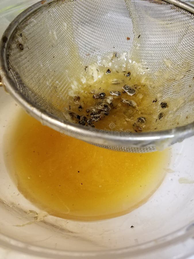 Filtering Fresh Raw Homemade Honey Stock Image - Image of wild, fresh ...