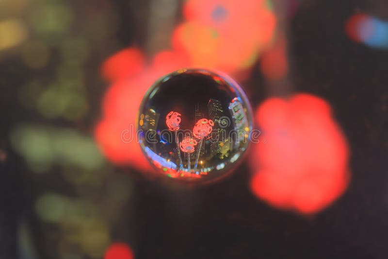 Filters of Soratama of Christmas Lighting Editorial Stock Image - Image ...