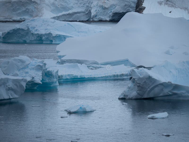 Fim Azul De Parto Do Iceberg Acima Imagem de Stock - Imagem de flutuar ...