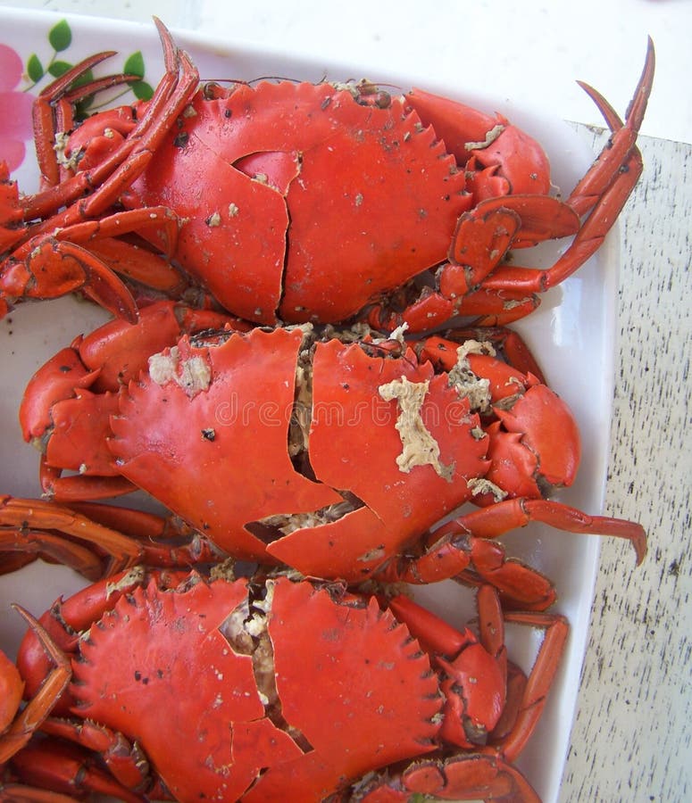 Fin cuite de crabe photo stock. Image du plaque, plateau - 73005748
