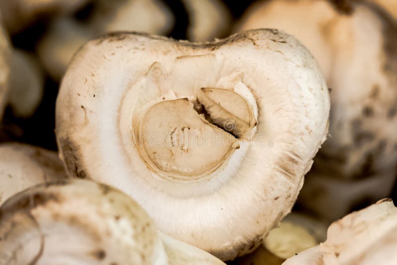 Fin De Forme De Coeur De Champignons De Champignons De Paris Photo ...