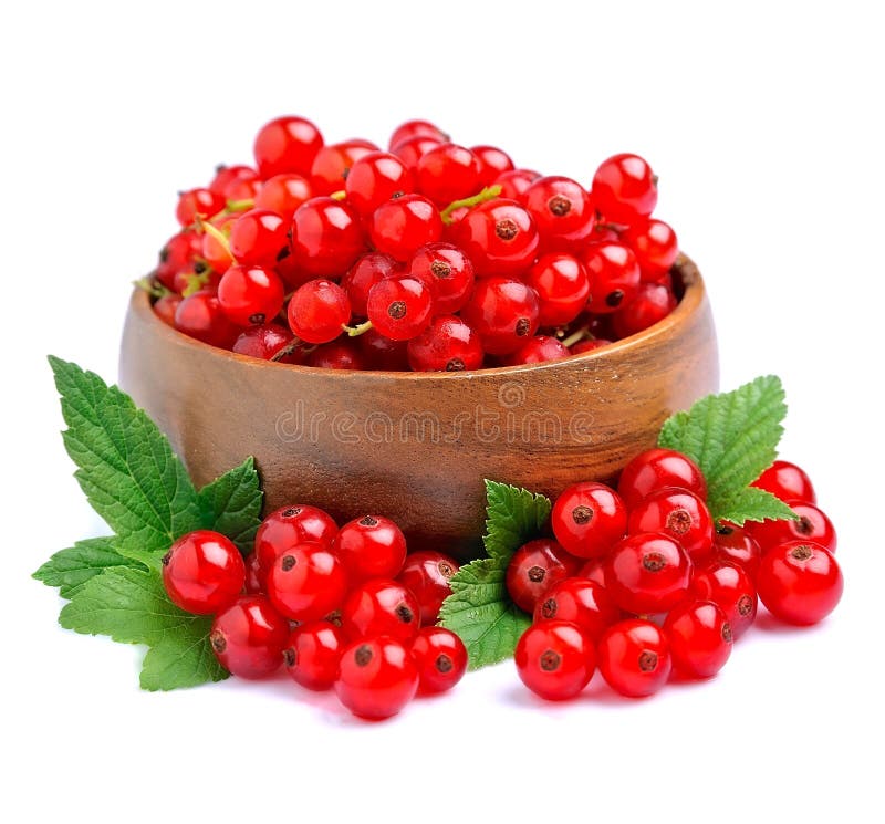 Groseille rouge image stock. Image du lame, boisson, vivacité - 16880117