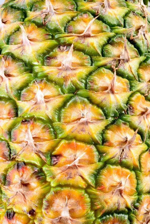 Texture de peau d'ananas image stock. Image du frais - 13341445