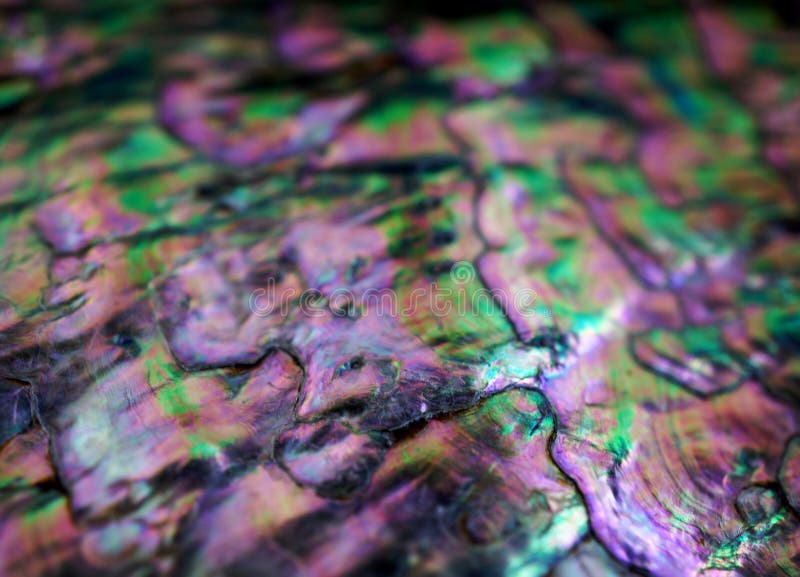 Fin de texture de nacre image stock. Image du beauté - 96007775