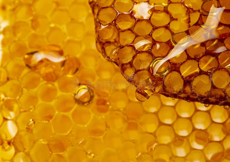 Miel image stock. Image du repère, régime, nourriture - 99318457