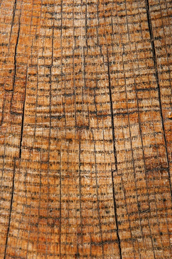 Fin en bois de texture photo stock. Image of histoire - 6270038