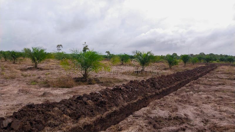 Tertiary Channel Stock Photos - Free & Royalty-Free Stock Photos from ...