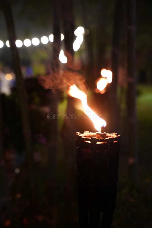 Fin Vers Le Haut De Torche Et Feu Dans Le Jardin De Nuit Image stock ...