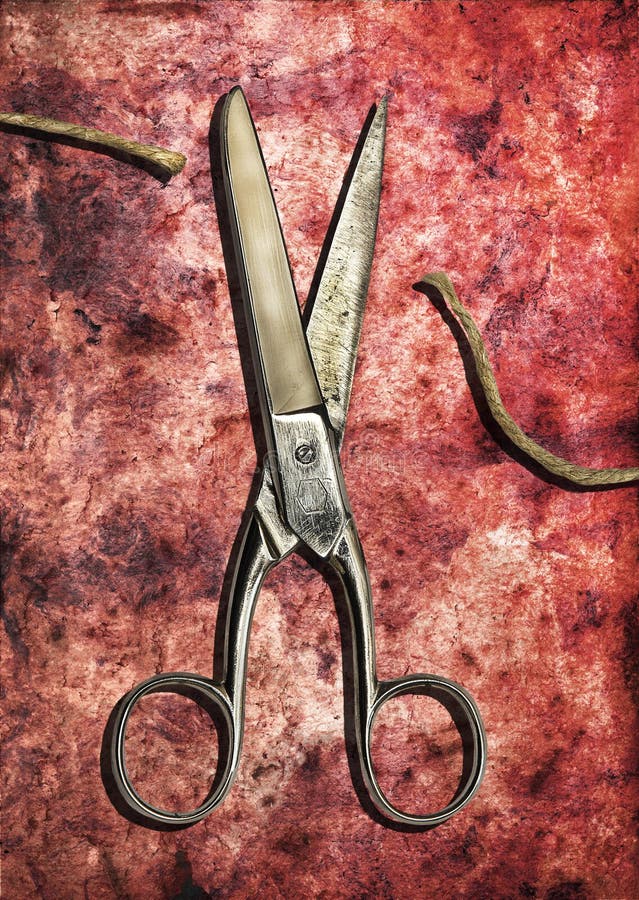 Scissors Cutting Rope Stock Images - Download 310 Royalty Free Photos