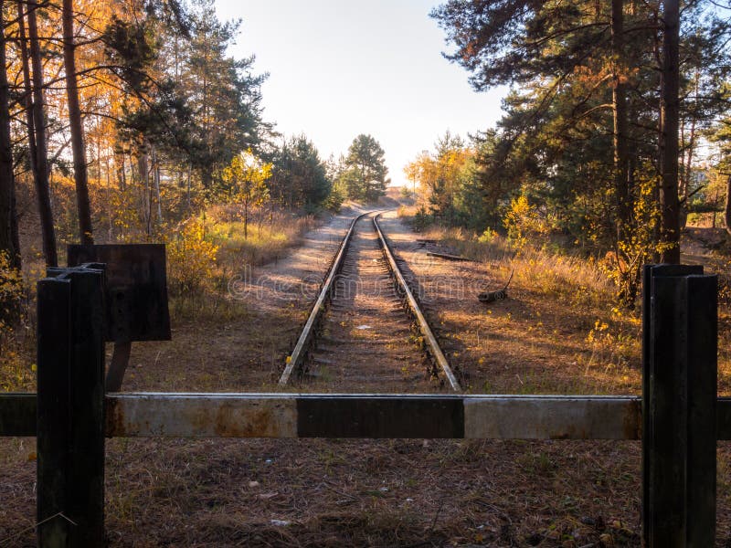 The final line of railway stock photo. Image of forest - 64728496