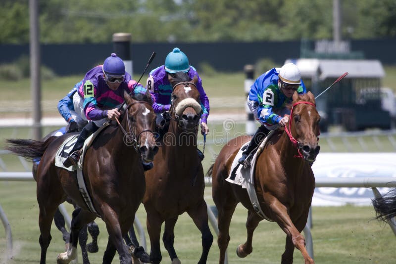 Final Stretch editorial stock photo. Image of betting - 5477053